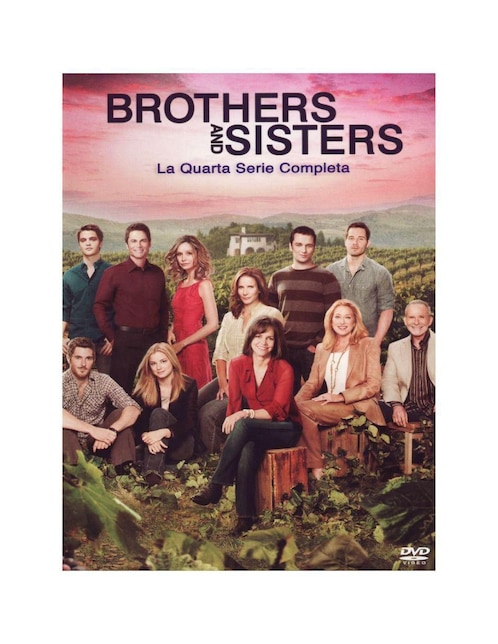 Hermanos y hermanas temporada 4 Estándar 1